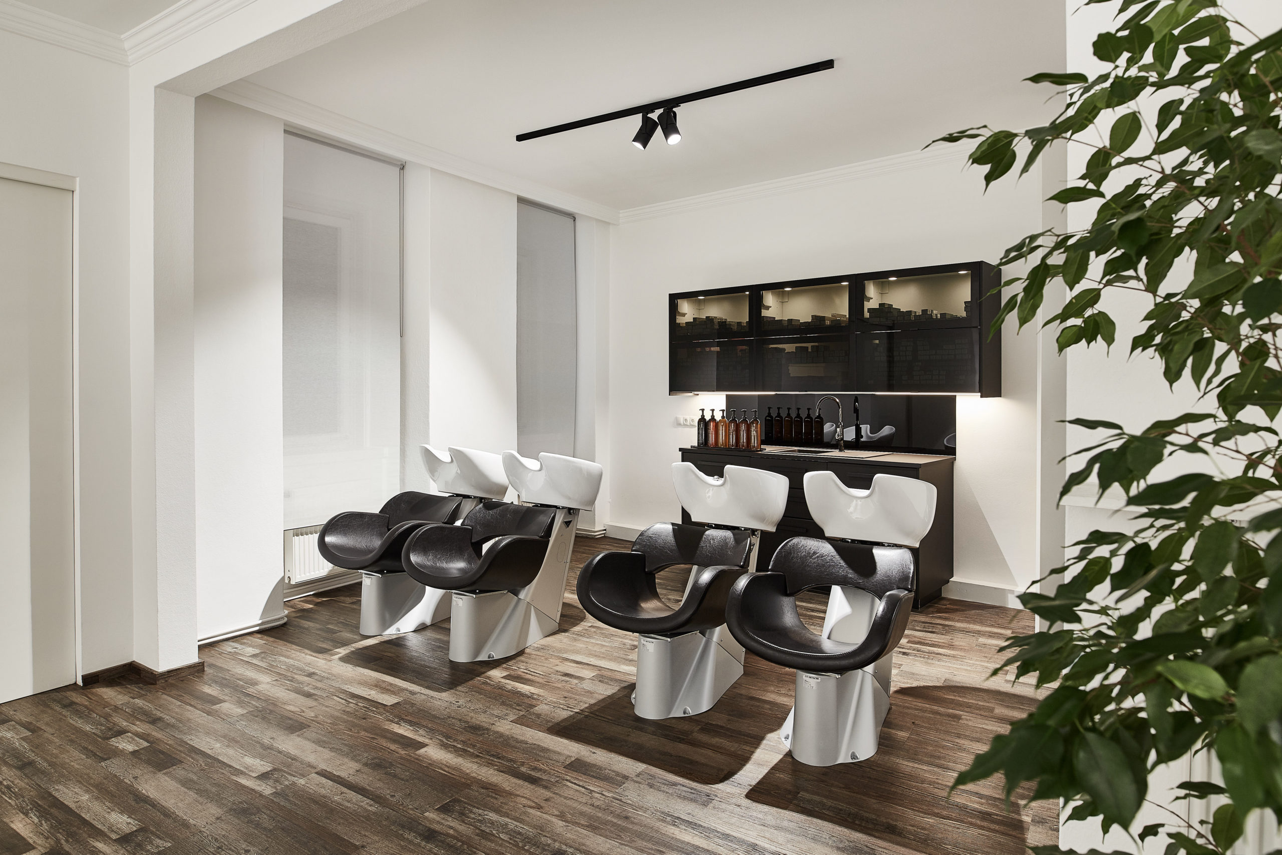 Salon – The Fringe